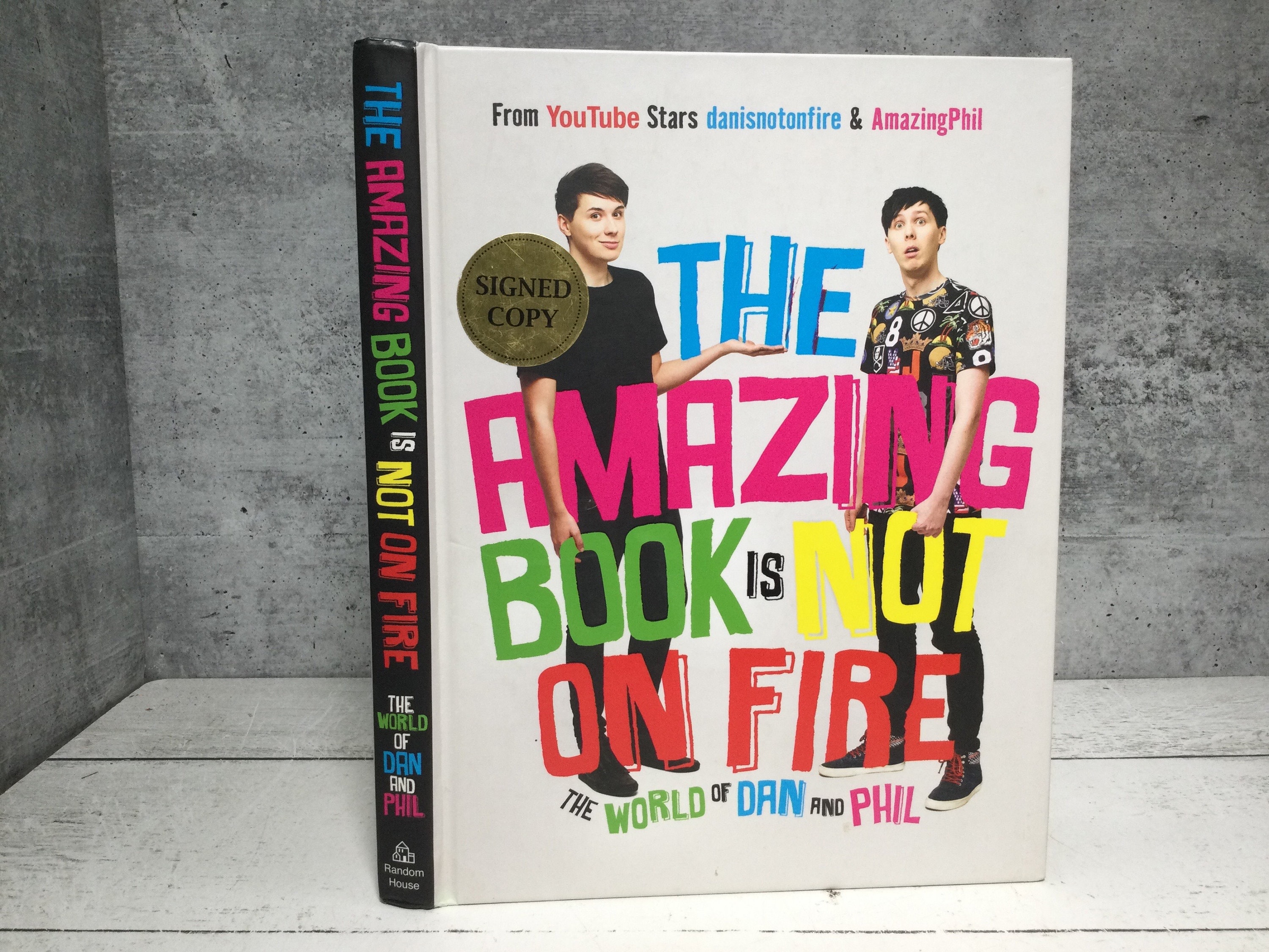 Dan And Phil Poster
