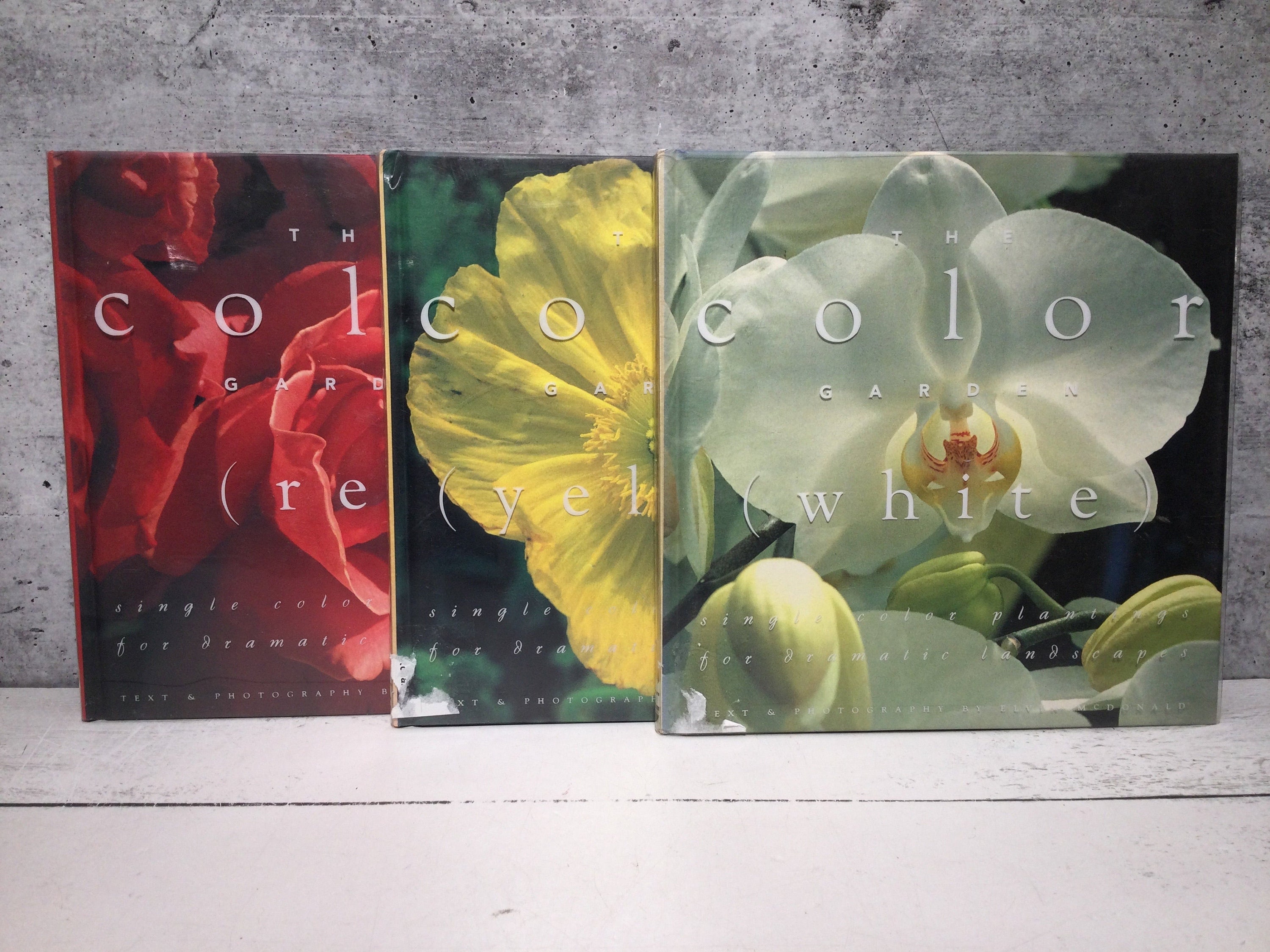 Rare Book the Color Garden 1995 Vintage General - Etsy