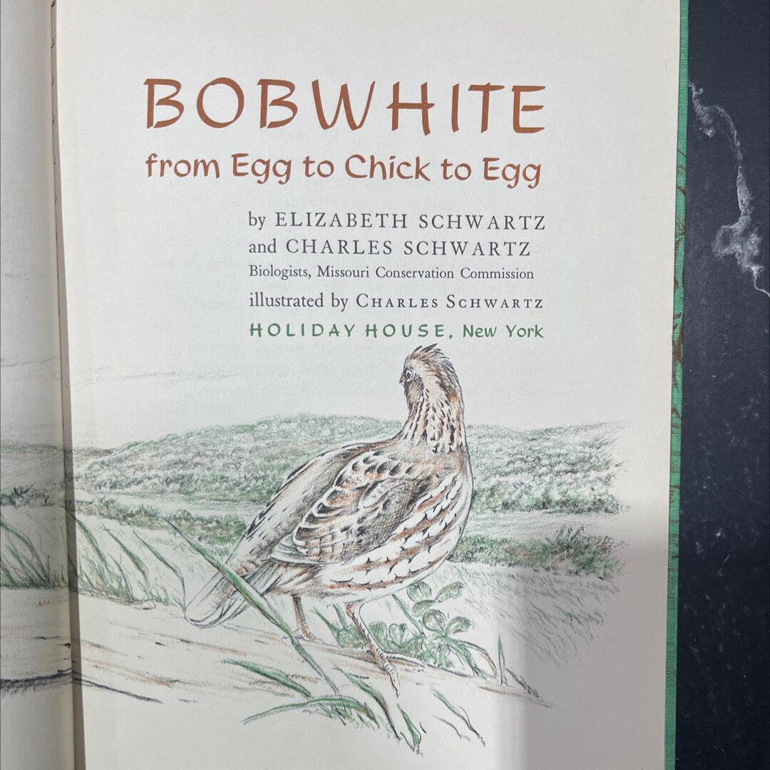 Bobwhite From Egg to Chick to Egg Book, by Elizabeth Schwartz and ...