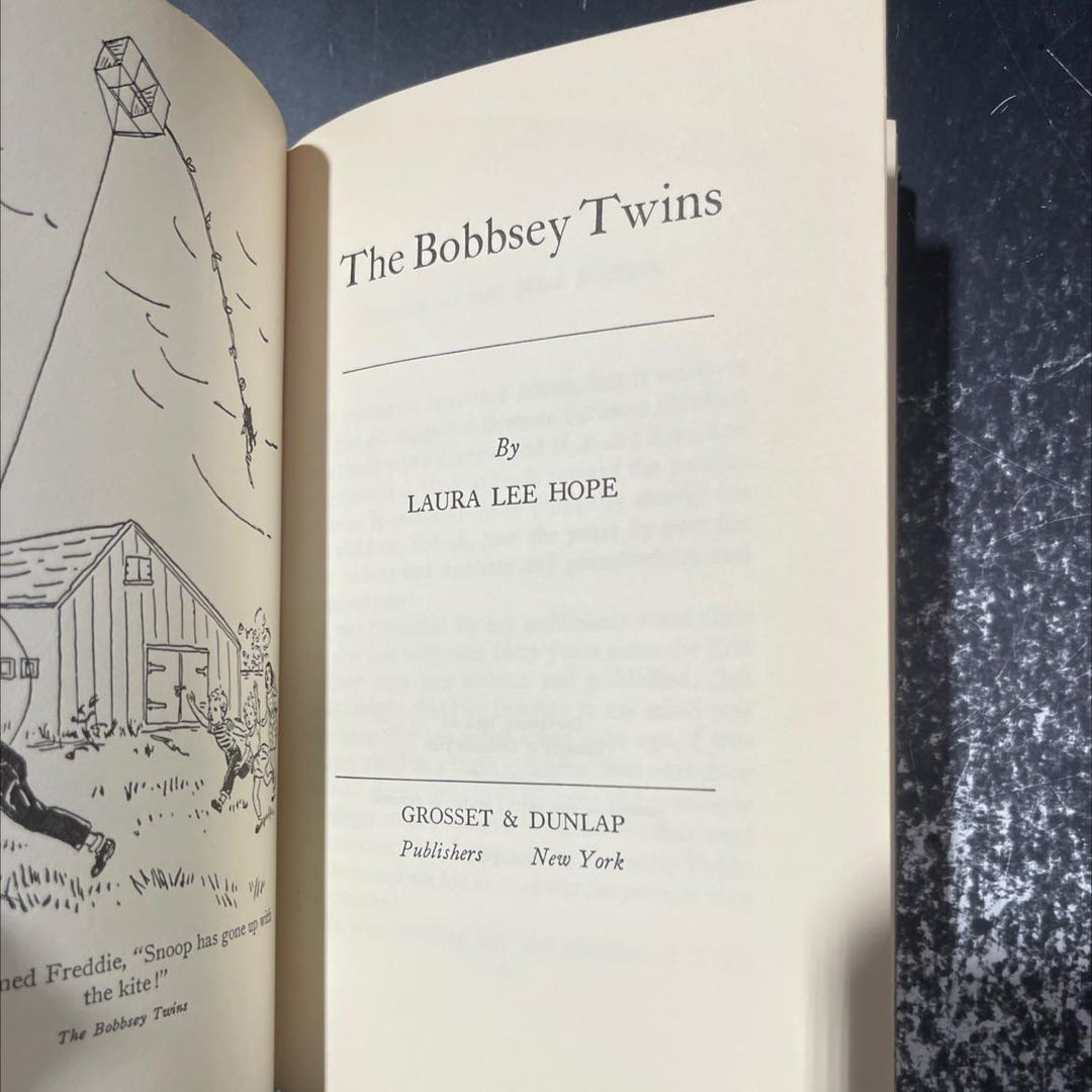 The Bobbsey Twins Book, by Laura Lee Hope, 1950 Hardcover RARE-R67-B8-E ...