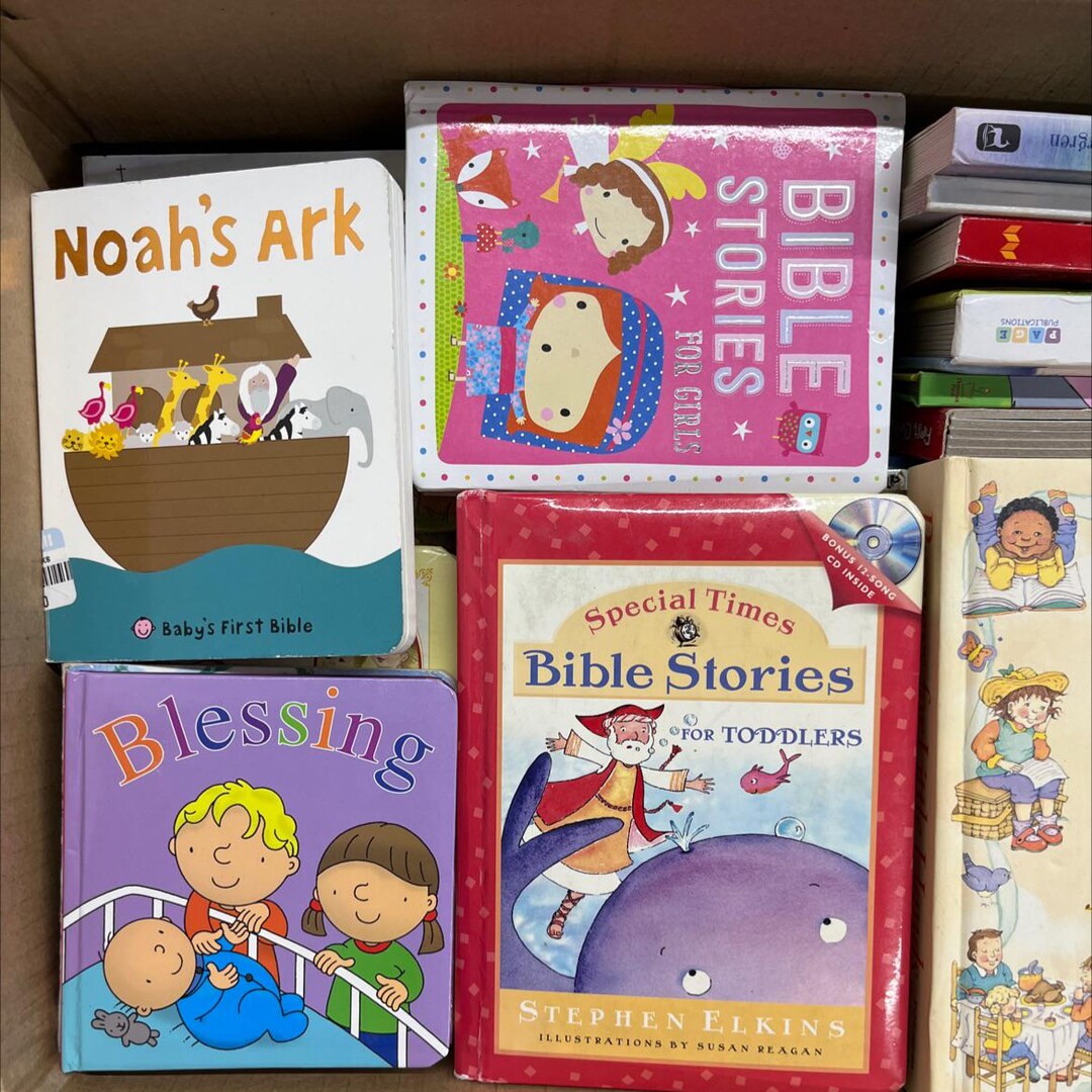 Baby Christian Mix Bundle, Noahs Ark and Other Bible Stories 30 Books ...