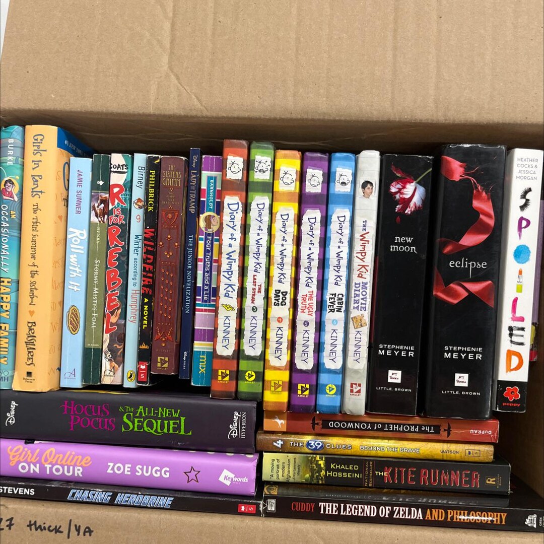 Chapter Book Box, Diary of a Wimpy Kid, Twilight and More 27 Books ...