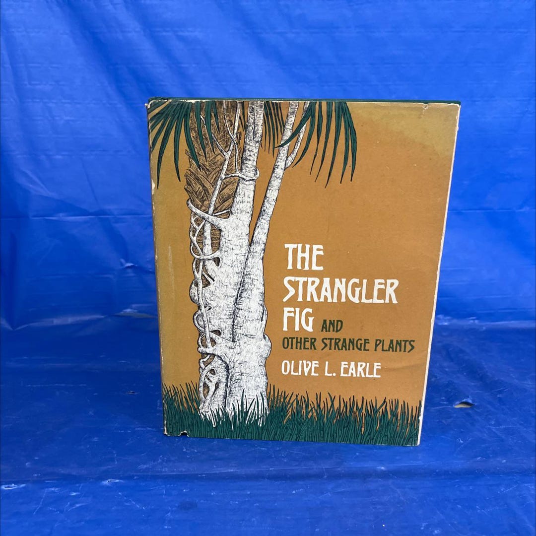 The Strangler Fig by Earle First Edition 1967 Book 4R7S11 - Etsy