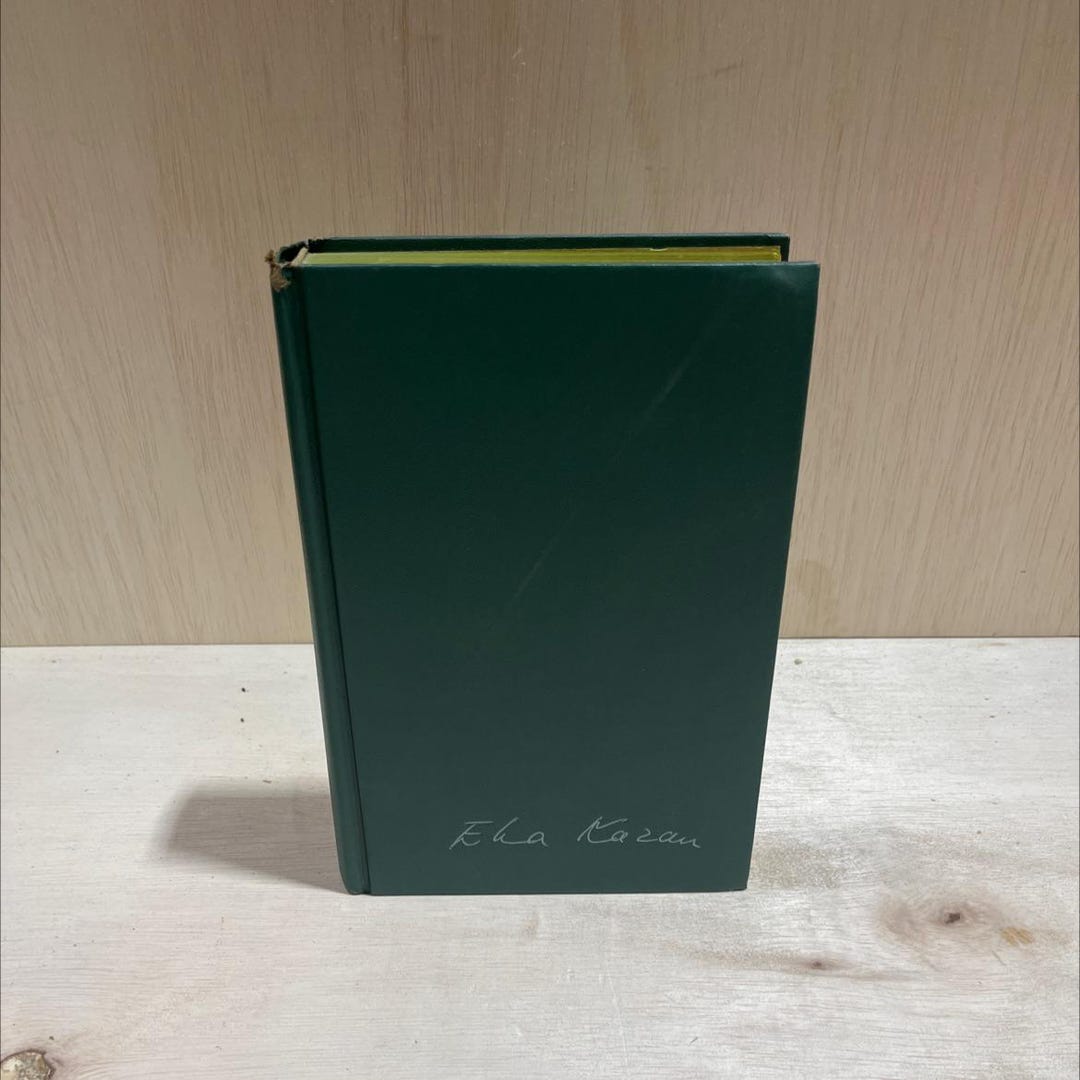 The Arrangement Book, by Elia Kazan, 1967 Hardcover RARE-R71-B8-D_83 - Etsy