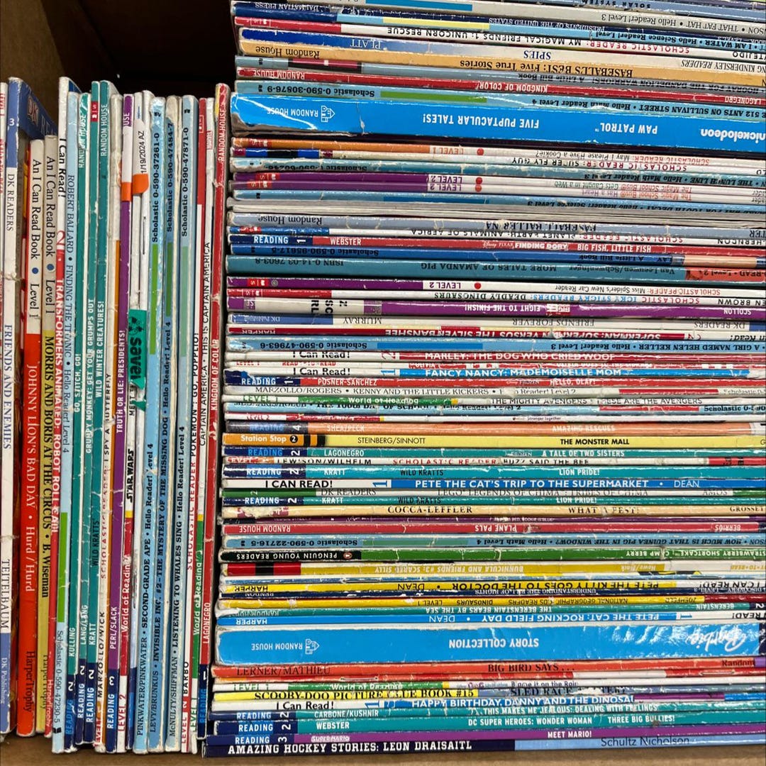 Leveled Readers Big Box 100 Books 4T2S7018 - Etsy