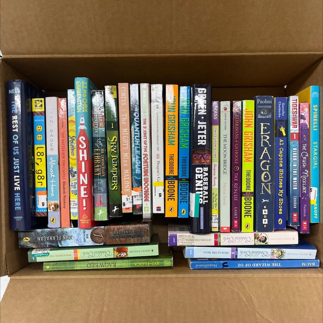 Thick Chapter Book Bundle 30 Books 2T3S6606 - Etsy