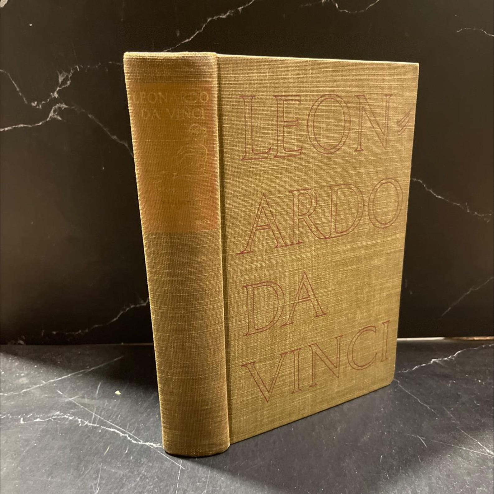 Leonardo Da Vinci the Tragic Pursuit of Perfection Book, by Antonina ...