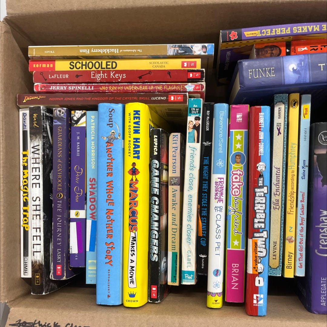 Kids Chapter Mix Box, Monster, Schooled and More 30 Books 2T1S4098 - Etsy