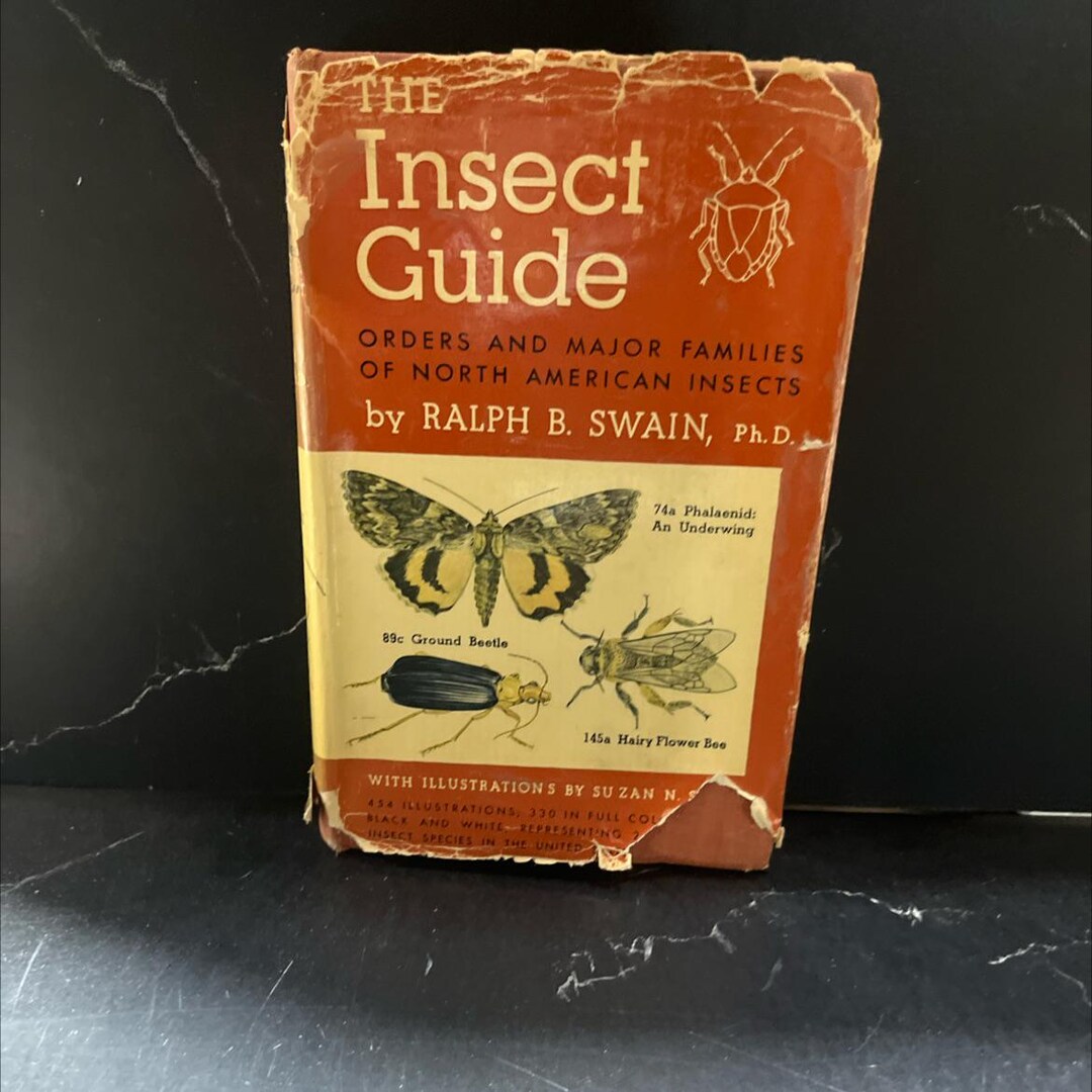 The Insect Guide Orders and Major Families of North American Insects ...
