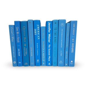 Light Blue Hardcover Books - Bulk - Etsy