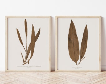 Sepia Printable - Etsy