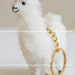 Lucky Alpaca Llama Key Chain, Original Peruvian Key Chain, Best Partner ...