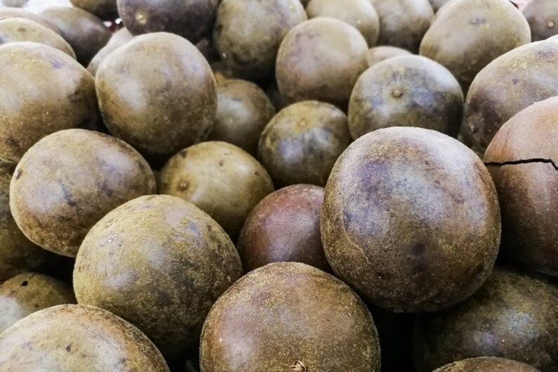 Dried Monk Fruit Siraitia Grosvenorii Luo Han Guo BIG | Etsy