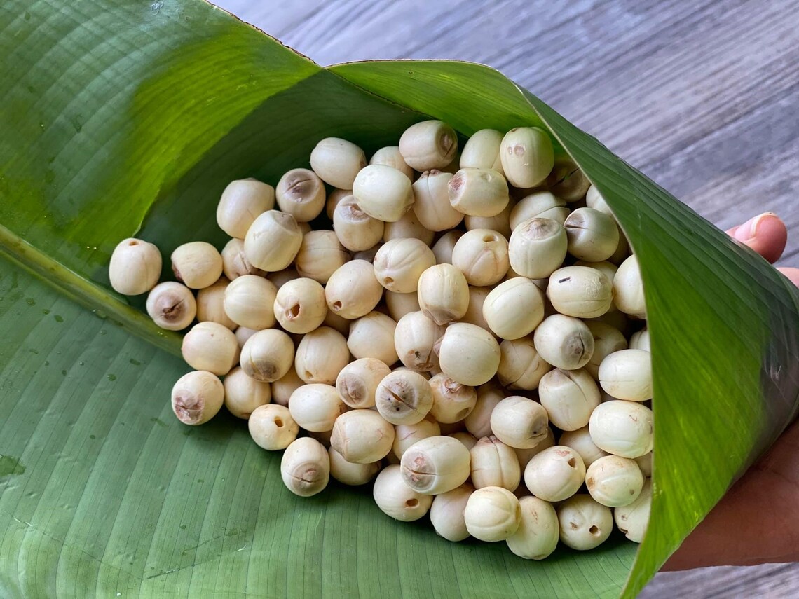 Organic Dried Bailian Premium Dried Bailian Organic Vietnam - Etsy