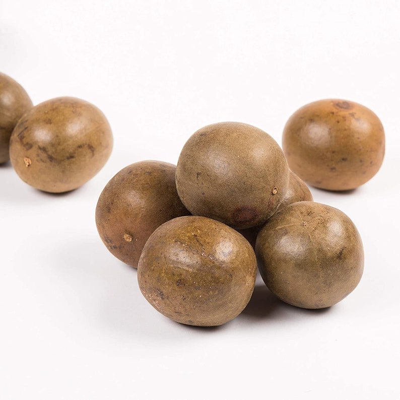 Dried Monk Fruit Siraitia Grosvenorii Luo Han Guo BIG - Etsy