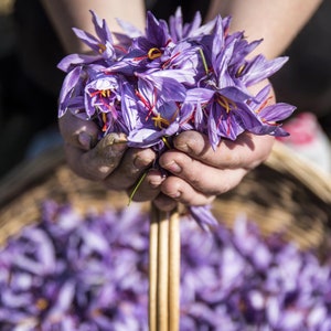 Organic Certificated Greek Saffron Natural Hand Picked Saffron - Etsy