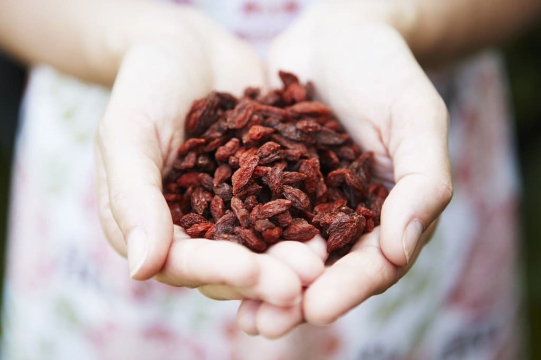 Natural Tibet Goji Berry Big Goji Berry Goji Berry Tea - Etsy