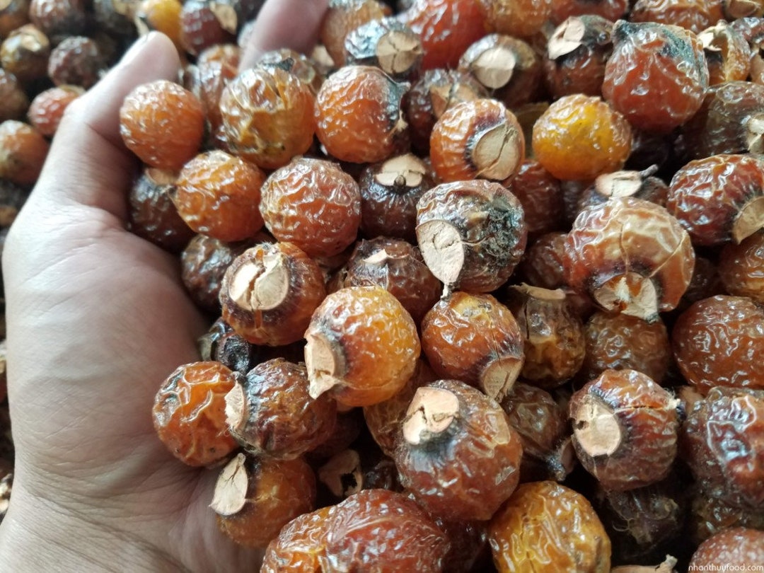 100% Organic Soap Nuts Soap Berries Sapindus Saponaria Natural Laundry ...