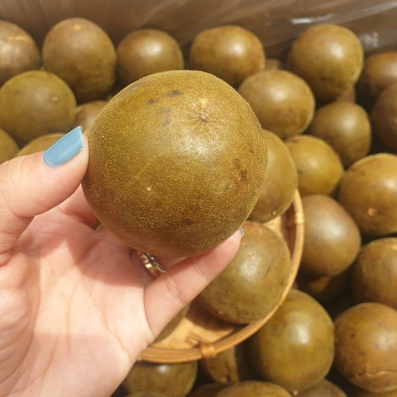 Dried Monk Fruit Siraitia Grosvenorii Luo Han Guo BIG - Etsy