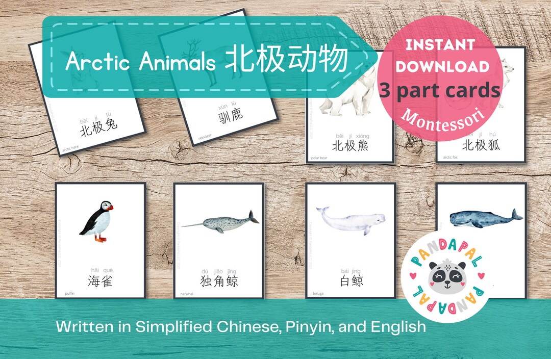 POLAR ANIMALS Mandarin Chinese Montessori 3 PART Card for Kids ...