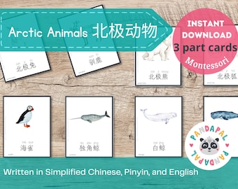 Chinese Learning Cards - Etsy