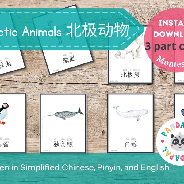 Chinese Flash Cards - Etsy