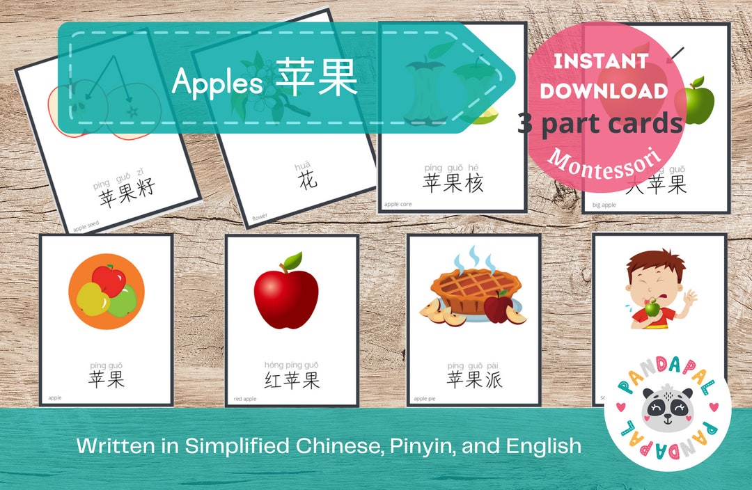 APPLES Mandarin Chinese Montessori 3 PART Card for Kids, Educational ...