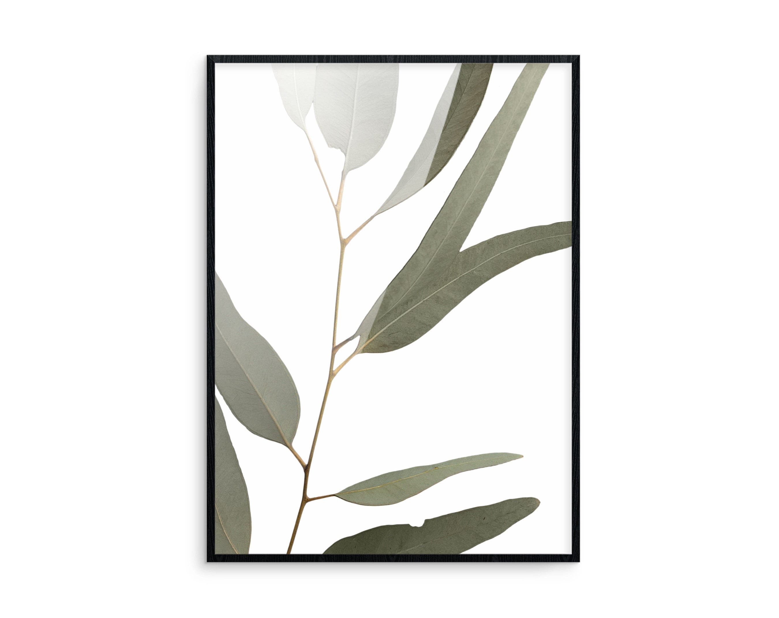 Olive Branch Digital Print, Wall Decor, Print, Modern, Home Decor, Home ...