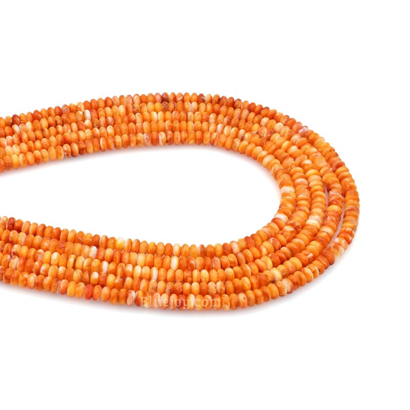 Spiny Oyster Beads - Etsy