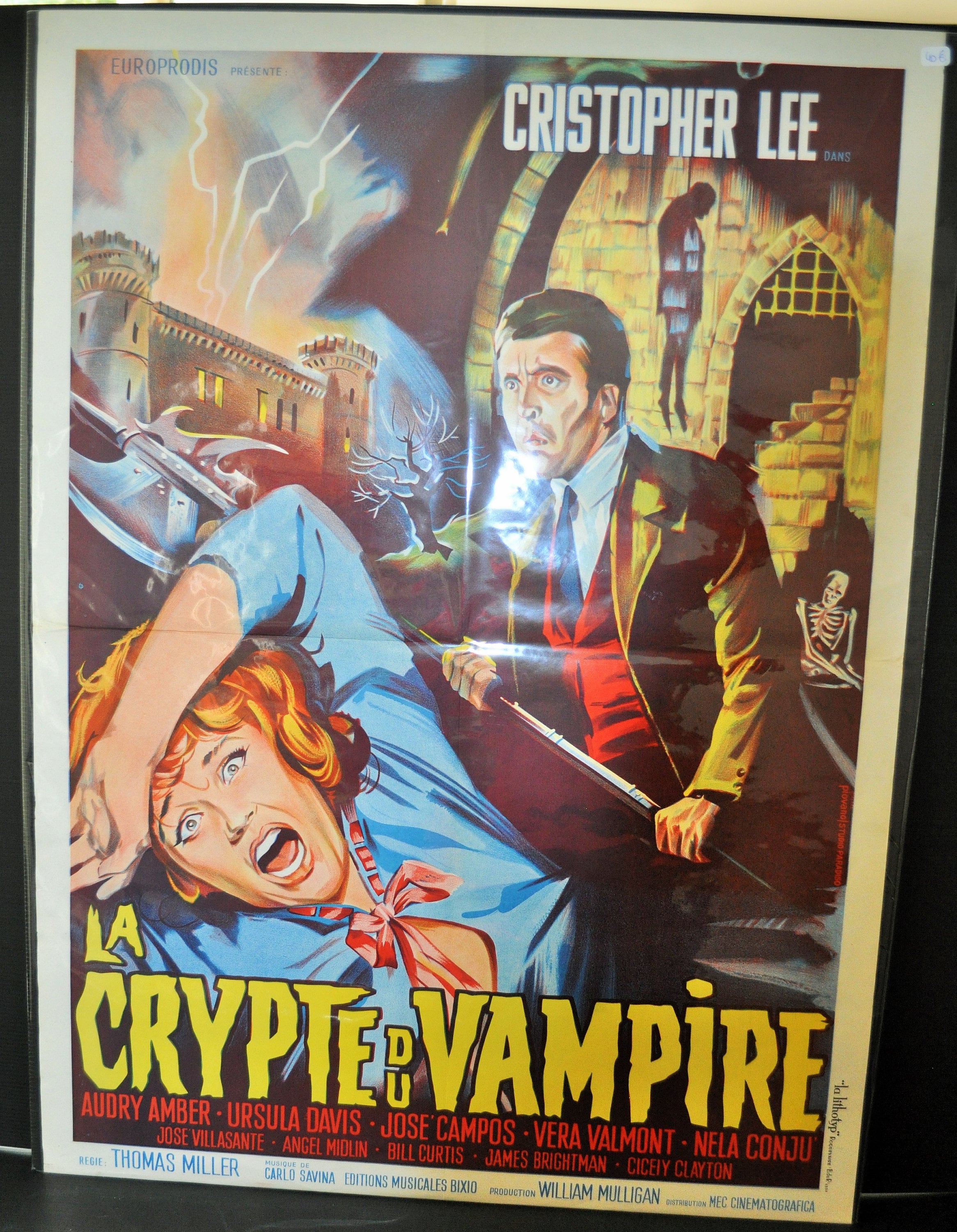 Original Poster the Vampire Crypt - Etsy