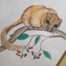 Dormouse Watercolour, Dormouse Art, Garden Wildlife Watercolour ...