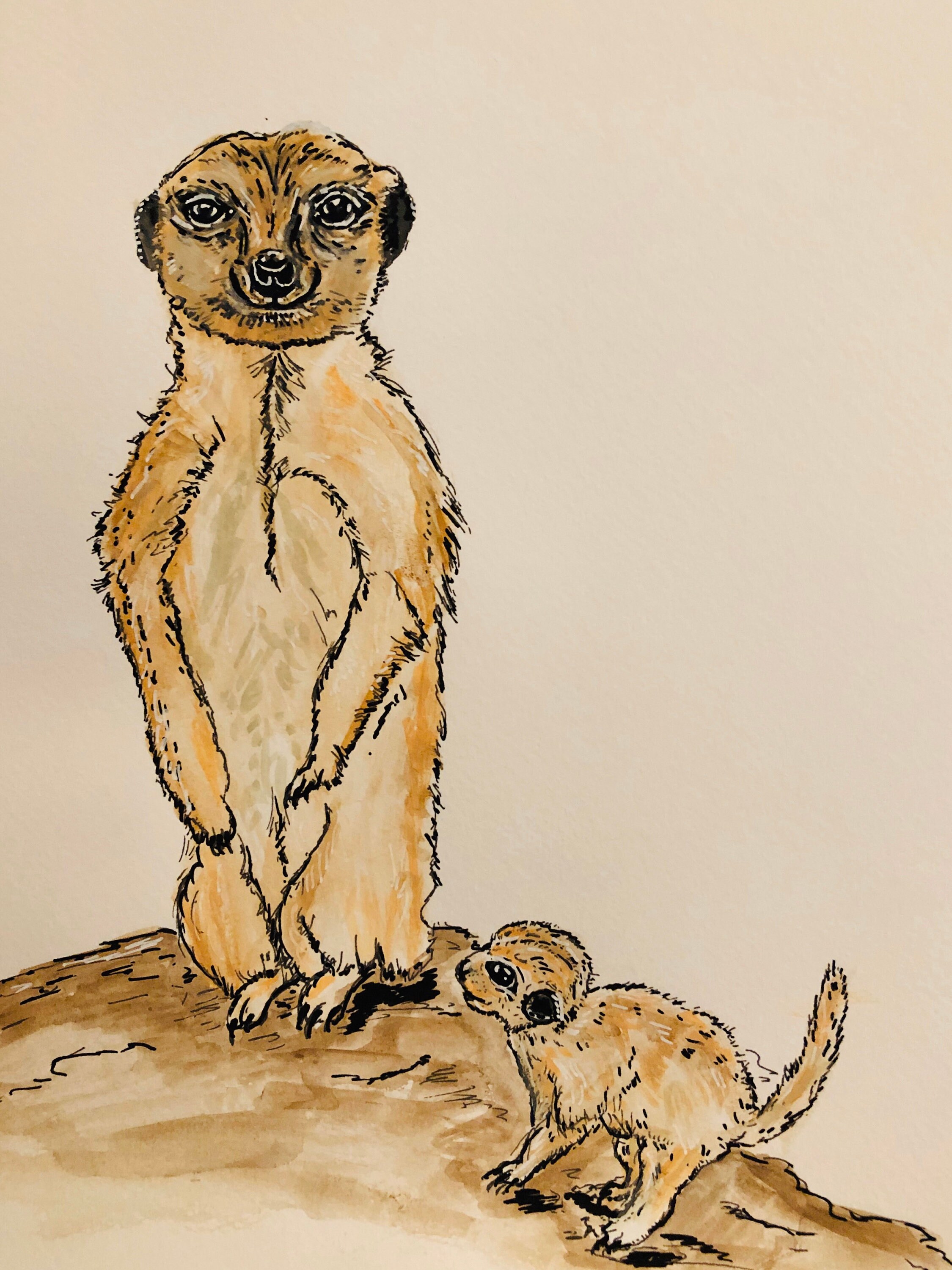 Meerkat Art Meerkat Gifts Meerkat Watercolour Meerkat and - Etsy