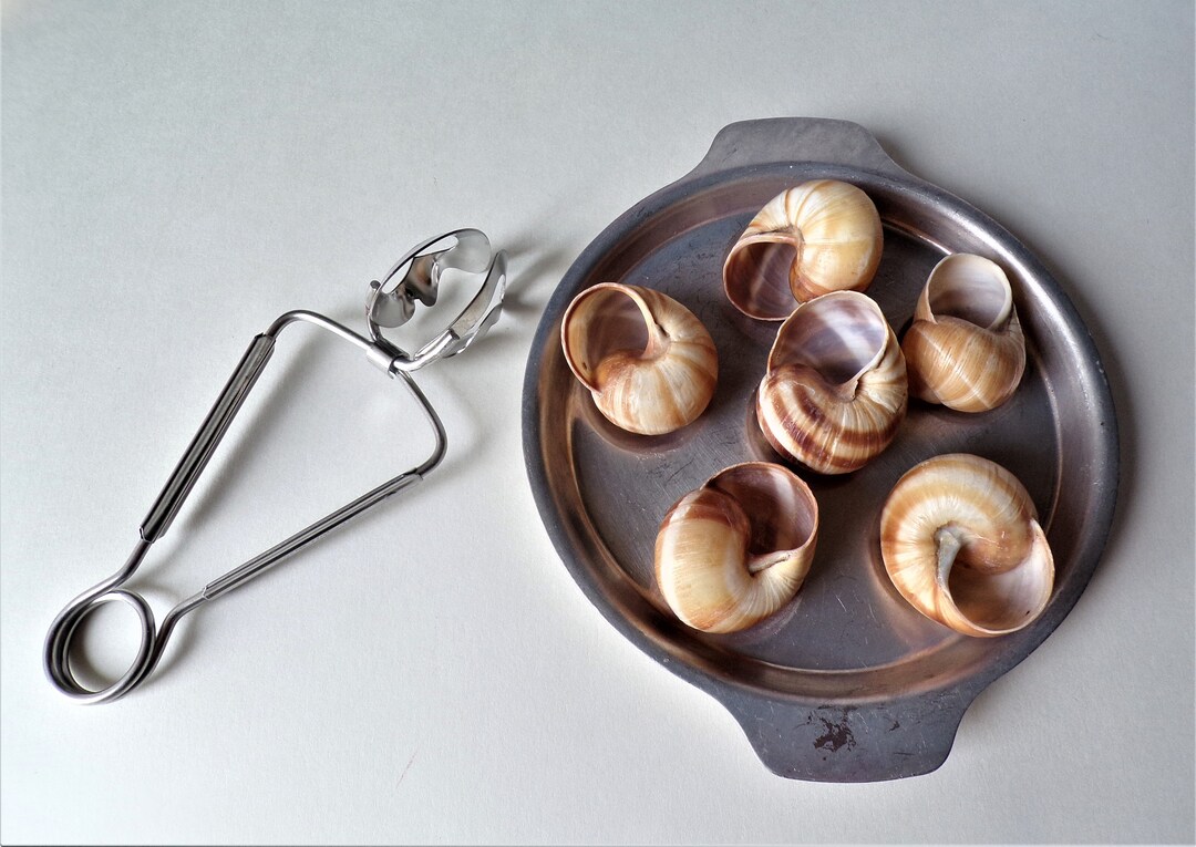 Vintage Tournus Aluminum Escargot Plate Set: France Unis Shells & Tong ...