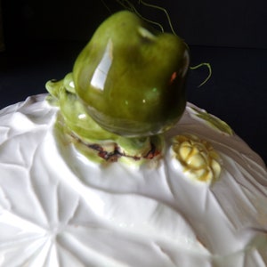 Vintage Sears Neil the Frog 8.5 Ceramic Canister - Etsy
