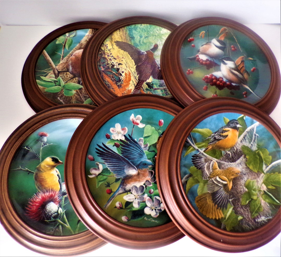 SALE: Edwin Knowles 1986 Framed Birds of Your Garden Collector Plates ...