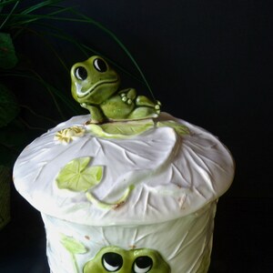 Vintage Sears Neil the Frog 8.5 Ceramic Canister - Etsy