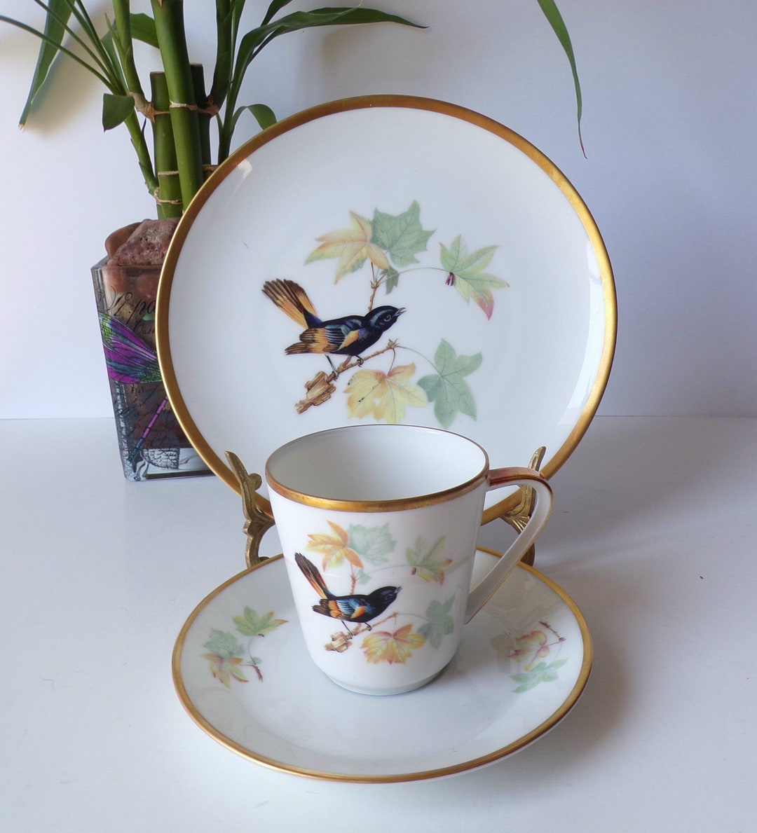 Audubon Birds Hutschenreuther Selb Pasco China Germany Redstarts Trio ...