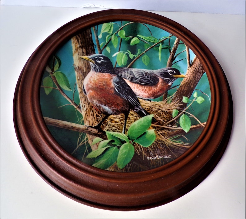 Vintage Edwin Knowles Framed Bird Collector Plate: Kevin Daniels Art - Etsy