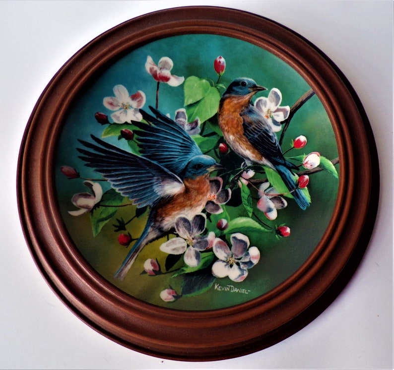 Vintage Edwin Knowles Framed Bird Collector Plate: Kevin Daniels Art - Etsy