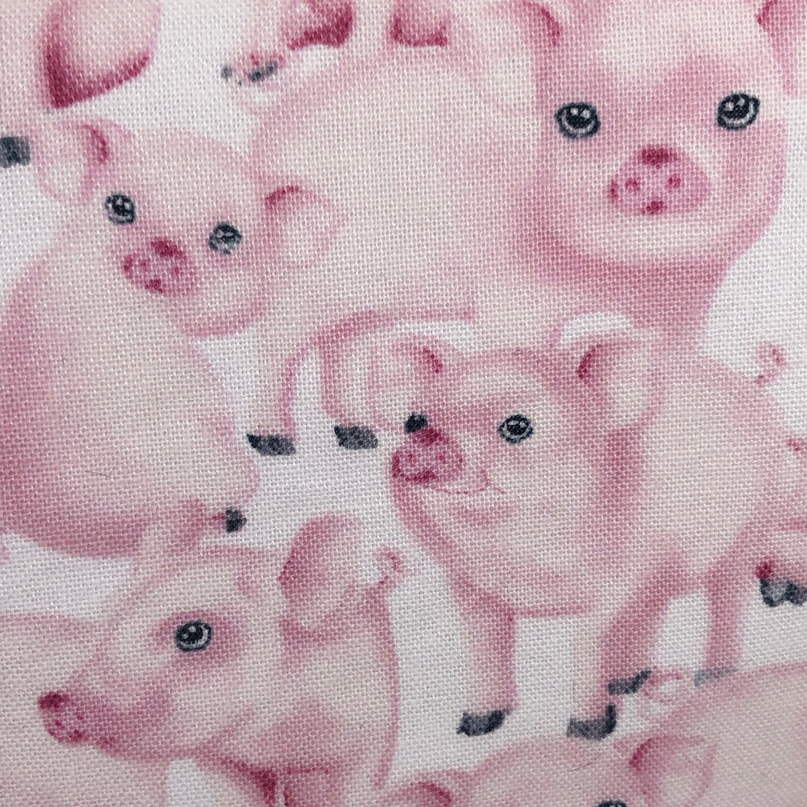 Pig Coin Purse Piglet Pig Lover Coin Purse Pouch Neck - Etsy