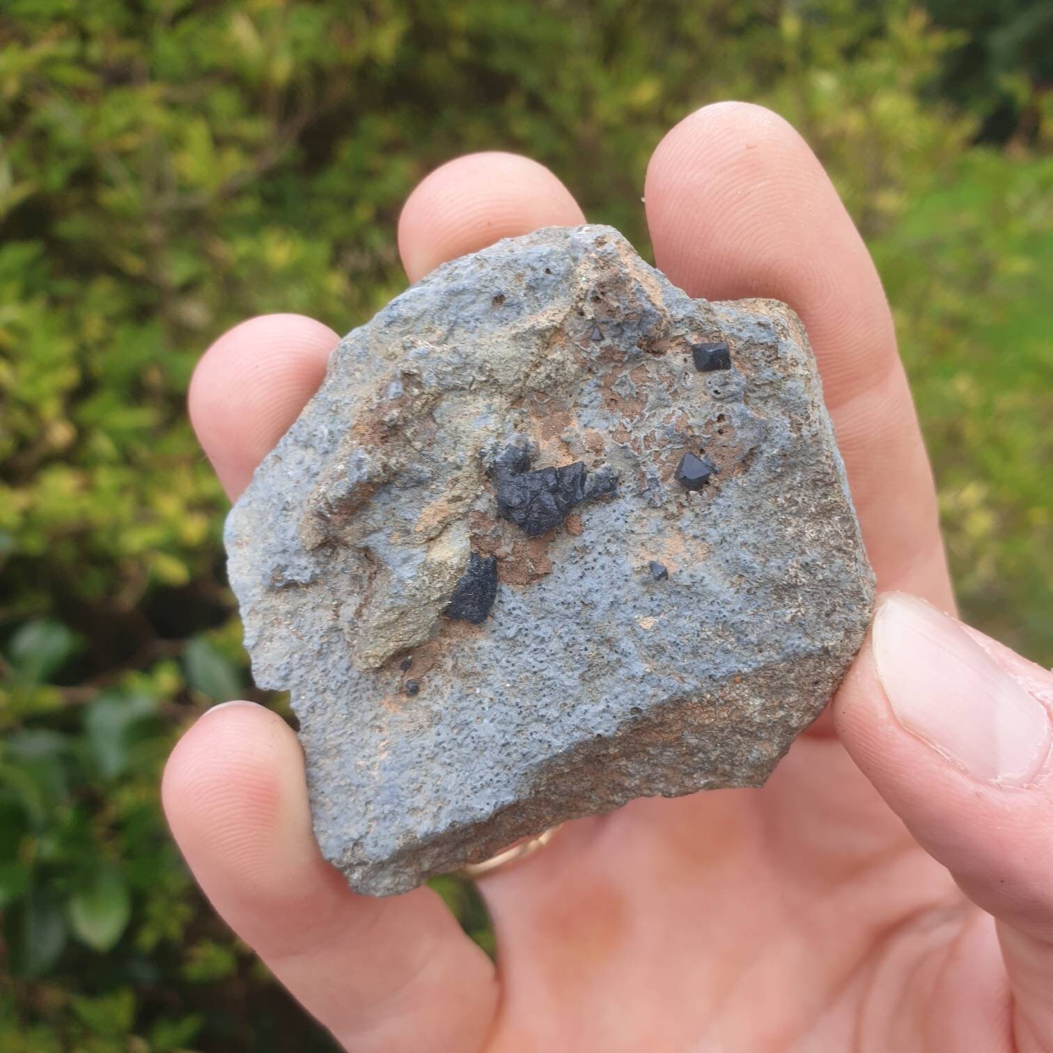 Blue Quartz Rare Quartz Quartz Crystals Display Minerals - Etsy
