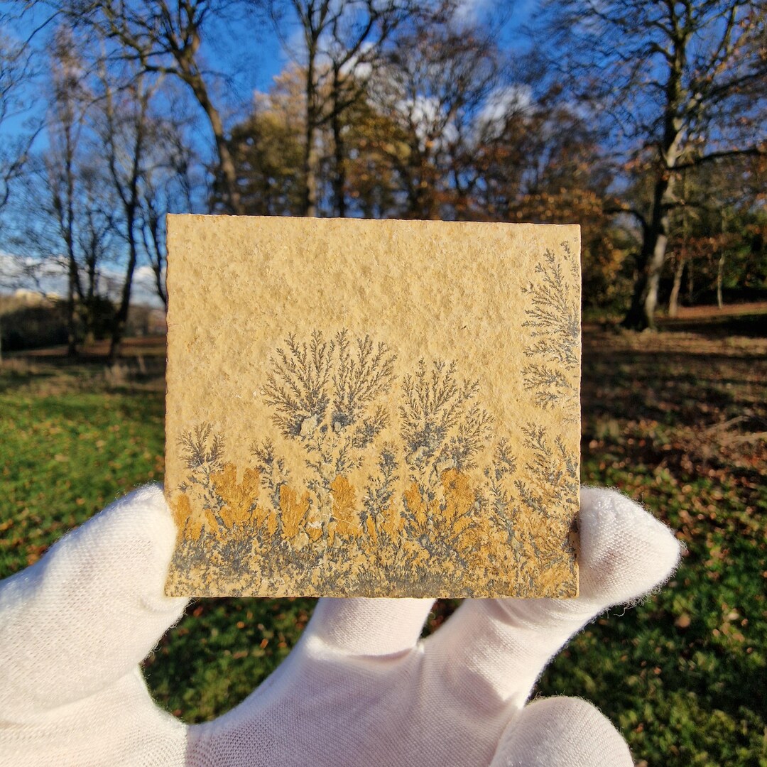 Dendrites on Matrix Dendrite Minerals Crystals Unique Minerals Natural ...