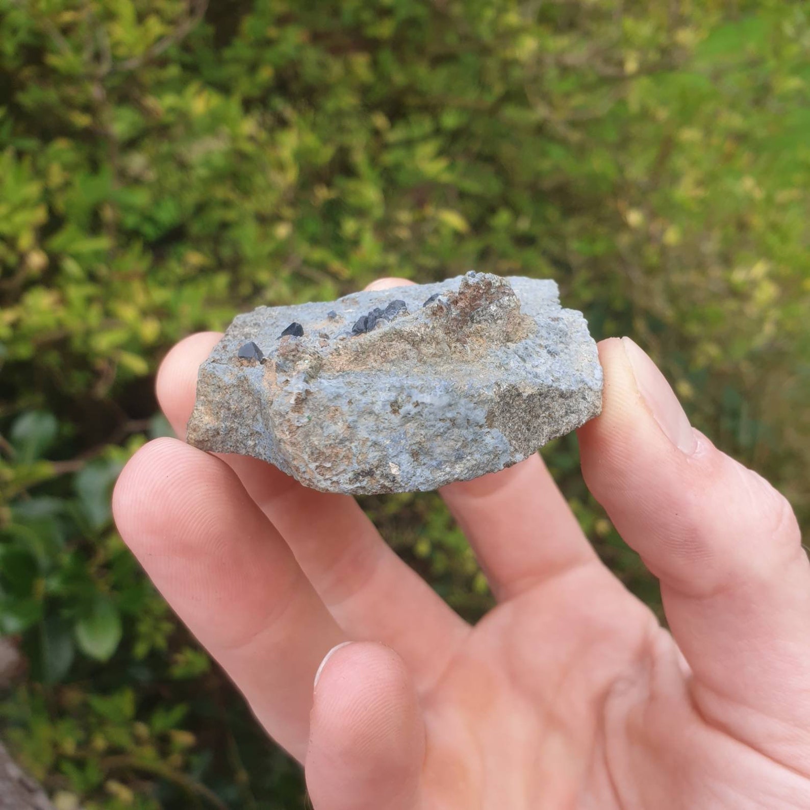 Blue Quartz Rare Quartz Quartz Crystals Display Minerals - Etsy