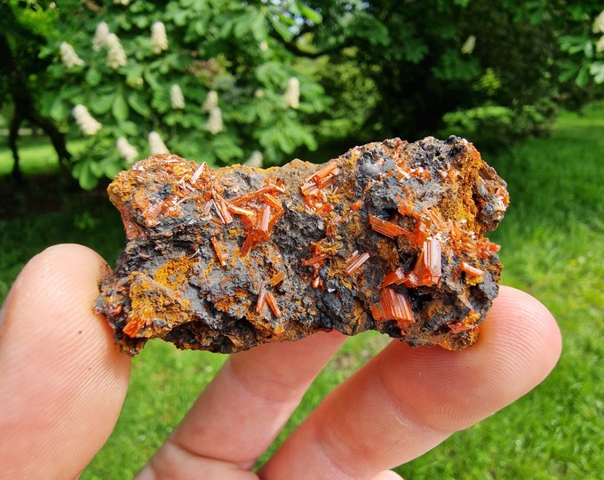 Crocoite Red Lead Mine Crocoite Mineral Australia Minerals Minerals ...