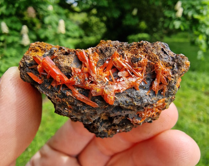 Crocoite - Red Lead Mine - Crocoite Mineral - Australia Minerals ...