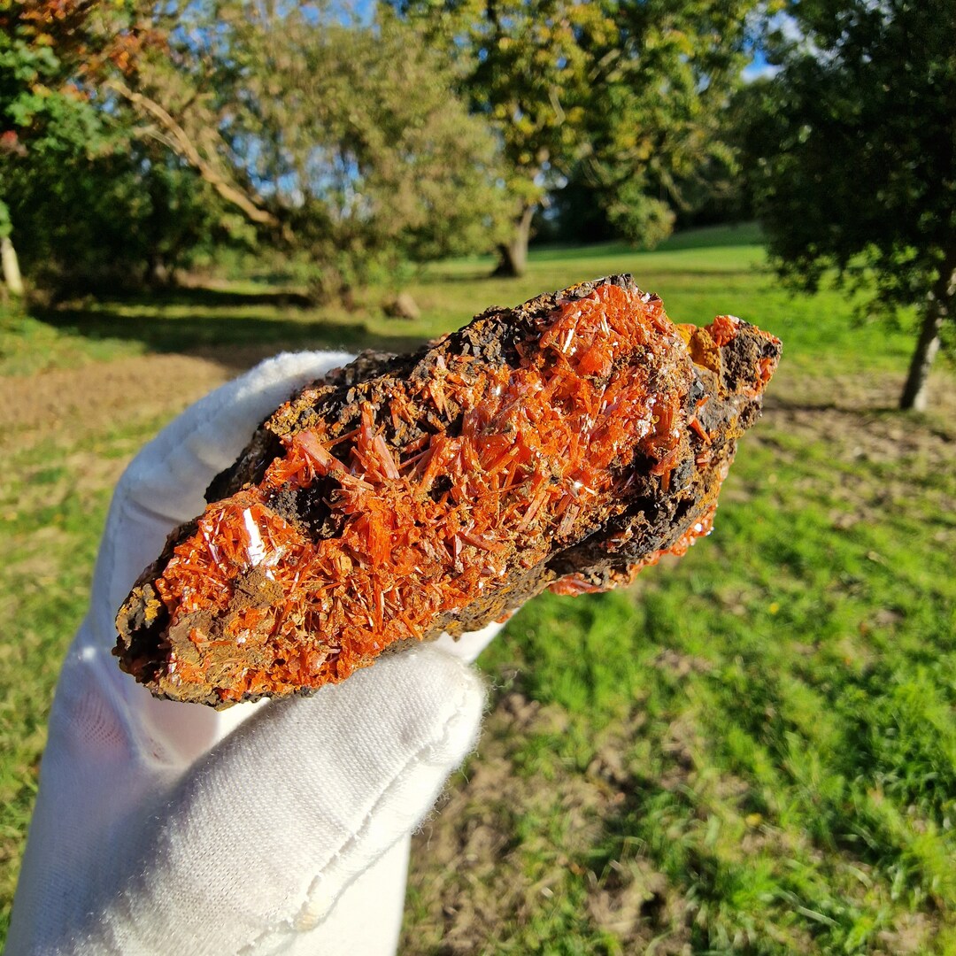 Crocoite - Adelaide PTY Mine - Crocoite Mineral - Australia Minerals ...