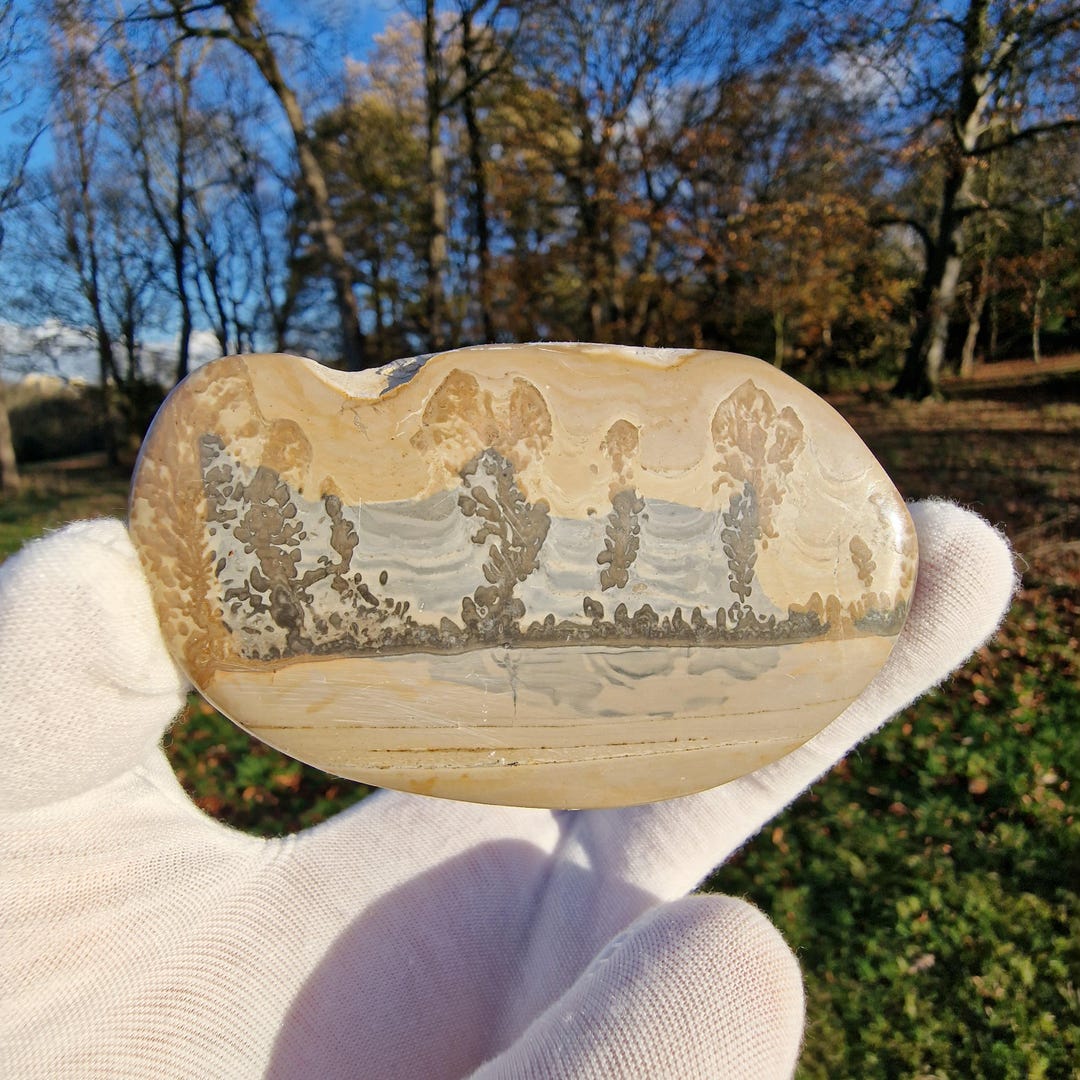 Landscape Marble - Cotham Marble - Minerals - Crystals - British ...