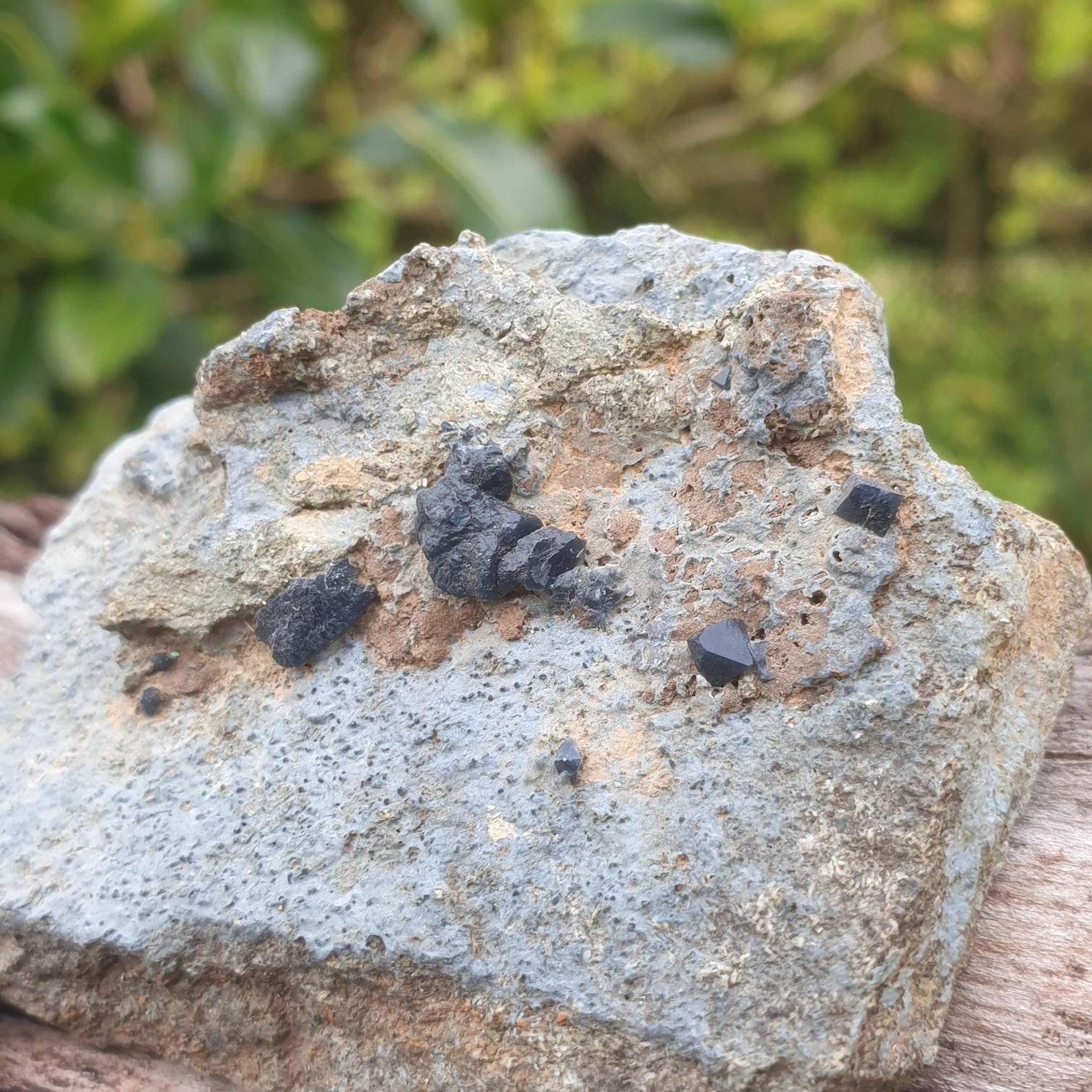 Blue Quartz Rare Quartz Quartz Crystals Display Minerals - Etsy