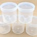 Single 6 Ounce Clear Plastic Container With Clear, White or Black 70mm ...