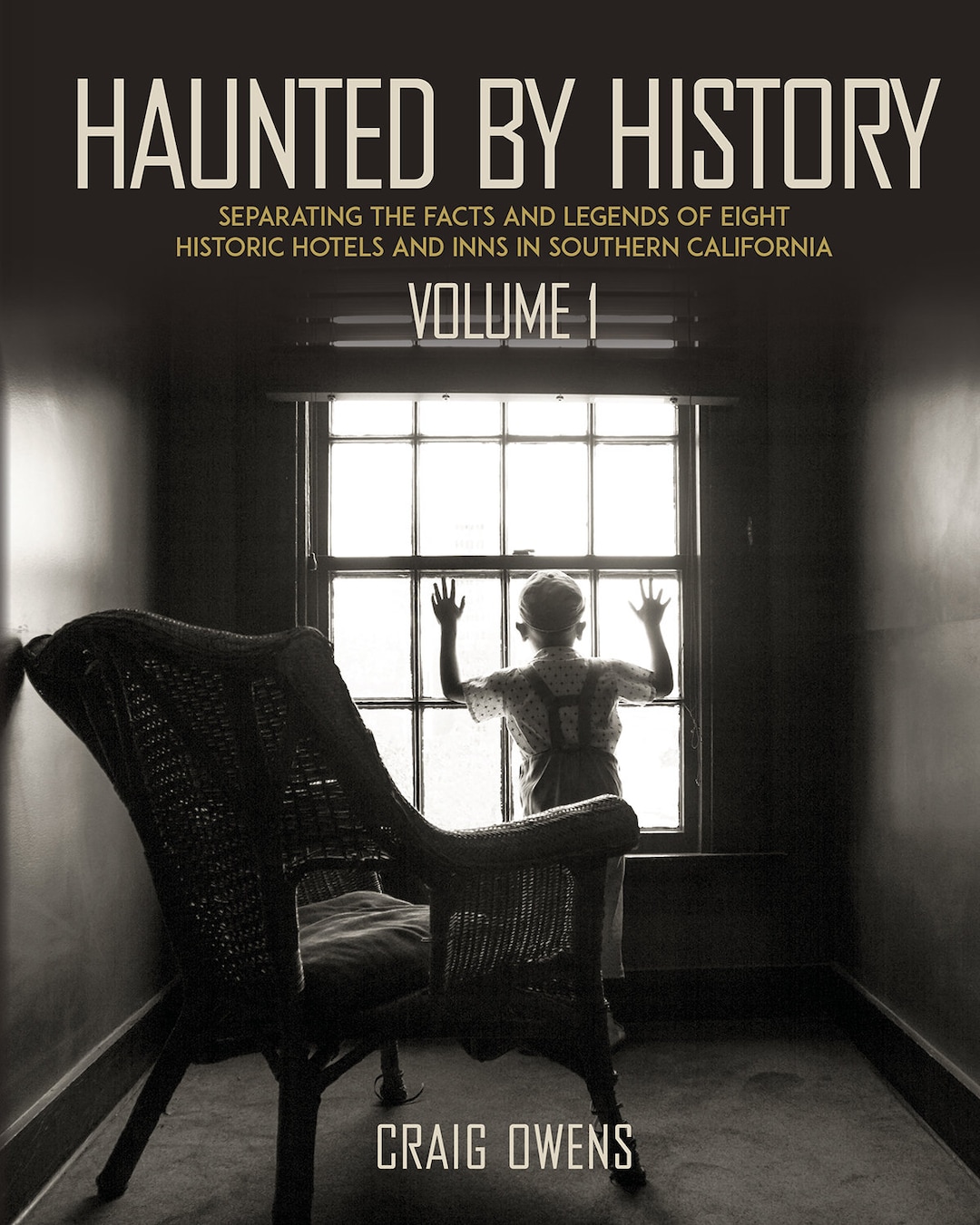 Haunted by History Vol. 1 by Craig Owens (first Edition / Softback) - Etsy